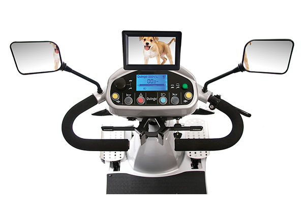 Custom Mobility Scooter